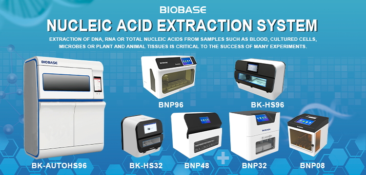 Nucleic Acid Extraction Basics news - BIOBASE