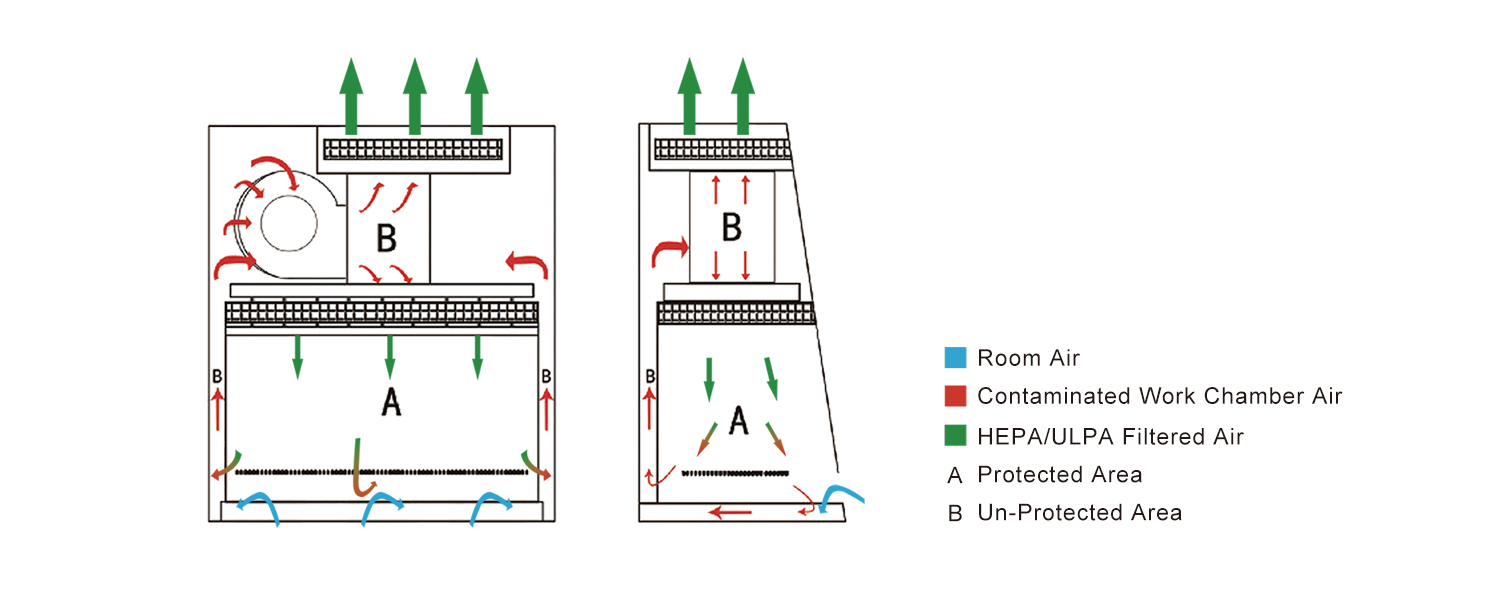 What are the biosafety cabinet classes? - BIOBASE